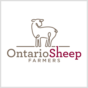 Getting out Alive - A Pathway Through Lambing Season | Ontario Sheep ...